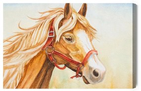 Obraz Kůň Malovaný Akvarelem Nedostatek Nedostatek Přírodní plátno 100x70