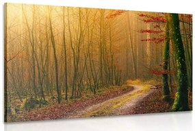 Obraz cestička do lesa - 120x80 cm