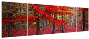 Obraz - Červený les (170x50 cm)