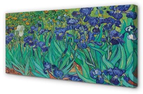 Obrazy na plátně Umění květiny duhovky 140x70 cm