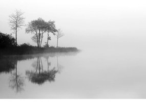 Obraz na plátně By the Lake I