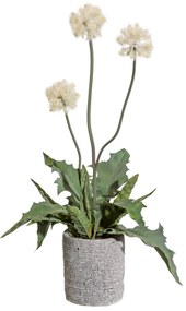 Gasper Umělá květina Bodlák bílý, 55 cm