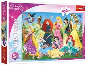 Puzzle Půvabné princezny/Disney 100 dílků 41x27,5cm v krabici 29x19x4cm