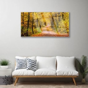 akrylový obraz Les Rostlina Cestička Příroda 100x50 cm
