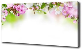 Wallmuralia Foto obraz na plátně Jarní květiny 100x50