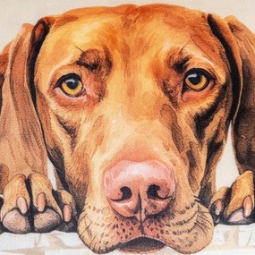 Sada 2 ks povlaků na polštářky z mikroplyše PEJSCI 45 x 45 cm