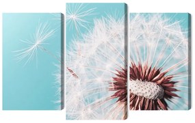 Vícedílný obraz Pampeliška Květ V Makro Měřítku Nedostatek Nedostatek Přírodní plátno 120x80