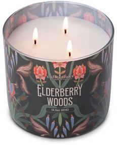 Colonial Candle svíčka Deco Collection Elderberry Woods, 411 g