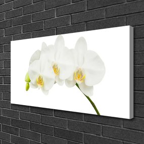 Obraz na plátně Orchidej Výhonky Květiny Příroda 125x50 cm