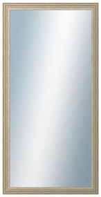 DANTIK - Zarámované zrcadlo - rozměr s rámem cca 50x100 cm z lišty LYON stříbrná (2704)