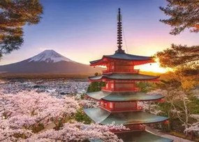 Ravensburger Rozkvetlé třešně v Japonsku / 1000 dílků / 70 x 50 cm / o