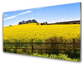 Obraz na skle Pole Rostlina Krajina 125x50 cm