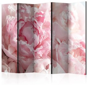 Paraván Sweet Peonies Dekorhome 225x172 cm (5-dílný)