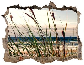 Wallmuralia Díra 3D ve zdi nálepka Mořské duny 95x64 cm