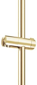 Rea příslušenství, sprchový sloup s držákem ruční sprchy 70cm, zlatá, REA-P5981