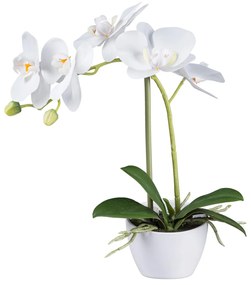 Gasper Umělá orchidej v bílém květináči, 33 cm, bílá
