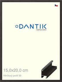 DANTIK rámeček 15x20 | ALU profil 6030 Dýha černá (Sklo Čiré)