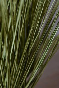 Umělá tráva v květináči JUNCO, plast, výška 80 cm, zelená