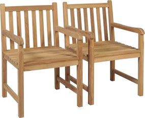 Zahradní židle 2 ks šedé podušky masivní teak 3062746