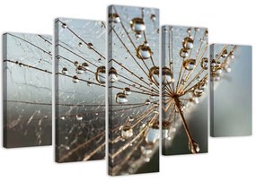 Gario Obraz na plátně Kapky rosy a pavučina - 5 dílný Rozměry: 100 x 70 cm