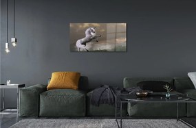 Obraz na skle Unicorn top 100x50 cm