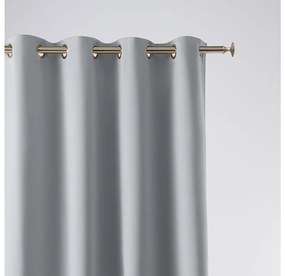 Room99 Hotový závěs na kroužcích AURA Barva: Granátová/Stříbrná, Velikost: 140 x 260 cm