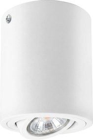 Toolight Toolight, stropní bodové svítidlo 1xGU10, JNH027-1C, bílá, OSW-56213