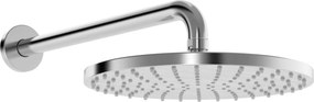 Hansa Viva - Hlavová sprcha, průměr 25 cm, broušená ocel 4426020080