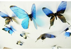 Sada 18 modrých adhezivních 3D samolepek Ambiance Butterflies