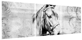 Obraz - portrét koně (120x40 cm)