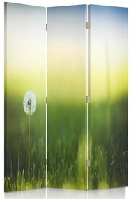 Ozdobný paraván, Moucha v zelené trávě - 110x170 cm, třídílný, klasický paraván