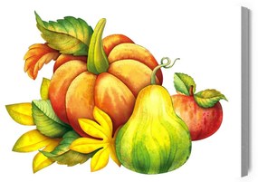 Obraz Podzimní Zelenina Nedostatek Nedostatek Přírodní plátno 40x30