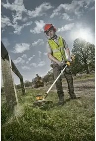 DEWALT DCM561PBS / Aku Strunová sekačka / 330 mm / 18V / bez Aku