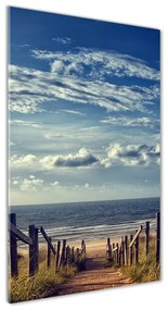 Wallmuralia Vertikální Foto obraz skleněný svislý Stezka na pláž 50x100