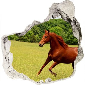 Wallmuralia Díra 3D fototapeta na stěnu Kůň na louce 75x75 cm