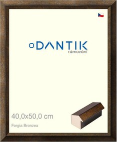 DANTIK rámeček 40x50 | Forgia Bronzea (Sklo Čiré)