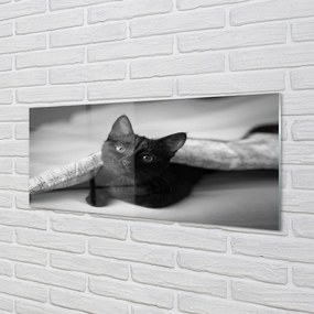 akrylový obraz Kočka pod přikrývkou 120x60 cm