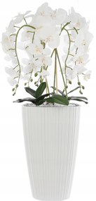 Orchidej umělý bílý v květináči kytice H 95 cm květináč čtvercový bílý