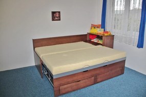 NábytekProNás Výsuvná postel Alka - se zády (MASIV) ROZMĚR: 80 x 200 cm