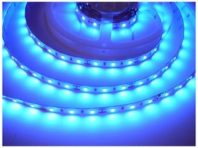 LED Solution LED pásek 12W/m 12V bez krytí IP20 Barva světla: Modrá 07710