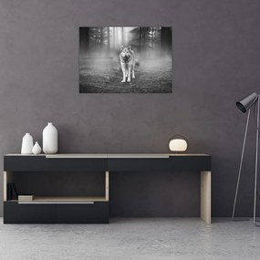 Skleněný obraz - Strážce lesa, černobílý (70x50 cm)