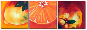 Obraz Tři citrusy (3 díly) - osvěžující motiv v oranžových barvách