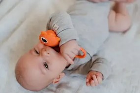 BABYTED Chrastítko Dino 2 ks / Silikon / 13 cm / 0m+