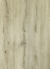 Koberce Breno Vinylová podlaha MODULEO SELECT Brio Oak 22247, velikost balení 3,881 m2 (15 lamel)