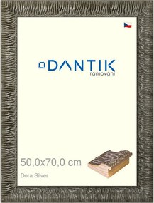 DANTIK rámeček 50x70 | Dora Silver (Plexi Čiré)