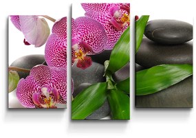 Sablio Obraz - 3-dílný Orchideje a kameny - 75x50 cm