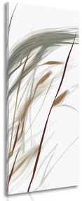 Obraz vlající stébla trávy Varianta: 40x120