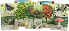 Asmodee Smíšený les / Počet hráčů: 2-5 / od 10 let