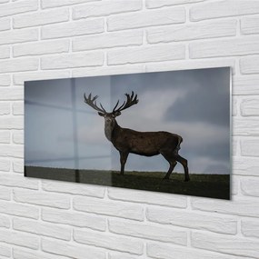akrylový obraz loučení se svobodou 140x70 cm