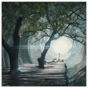 Gario Obraz na plátně Most v jeskyni - Zehem Chong Rozměry: 30 x 30 cm
